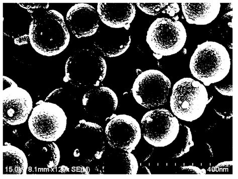 Core Shell Structured Electric Magnetic Conducting Nanoparticle And Preparation Method Thereof