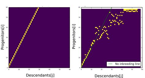 Left Panel Adjacency Matrix Of A Full Binary Tree Without Inbreeding