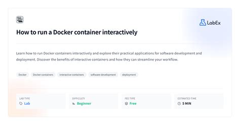 How To Run A Docker Container Interactively Labex