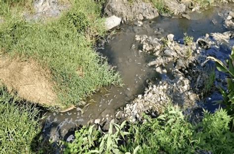 分水镇塘源村1终端附近民建溪水体污染问题 桐庐县 农户 乡镇