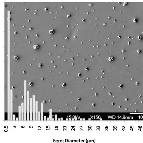 A Histogram Of Measured Particle Sizes For The 1 M 40 Opacity Prints