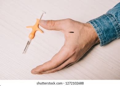 17 427 Hand Microchip Images Stock Photos Vectors Shutterstock