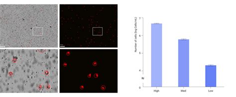 Somatic Cell Counting In Milk With Luna Fx7™