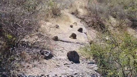 Oasis En El Desierto Ojo De Agua San José De Llanos Gto Youtube