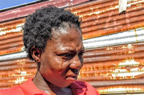 Please Bring Back Pompo Alive Daily Sun