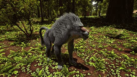 Ark Dinopithecus Controls Taming Abilities Saddle Drops And Breeding Progametalk