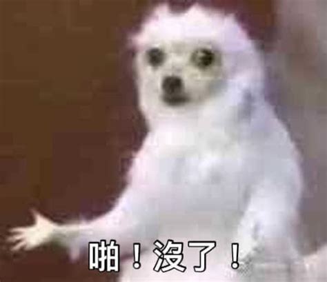 黑店嫩仙草 遼寧分店 售罄 完全沒仙草了 明天一定休一天 期待總店大哥煮仙草的手速 各位 後天見～～