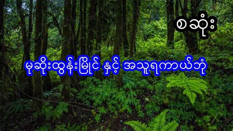 မုဆိုးထွန်းမြိုင်နှင့်အသူရကာယ်ဘုံ စဆုံး Youtube