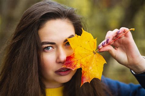 손에 단풍과 가을 노란색 단풍 나무 정원 배경에 단풍을 가진 젊은 여자 10월에 대한 스톡 사진 및 기타 이미지 10월 9