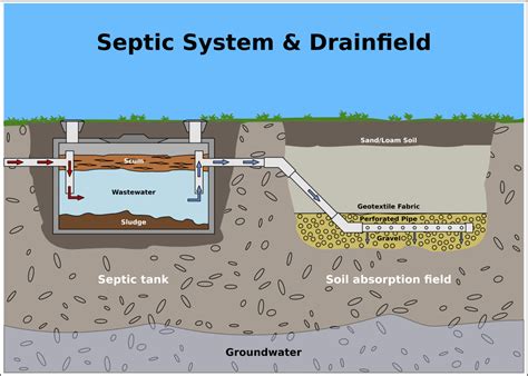 Septic Dye Testing Bent Nail
