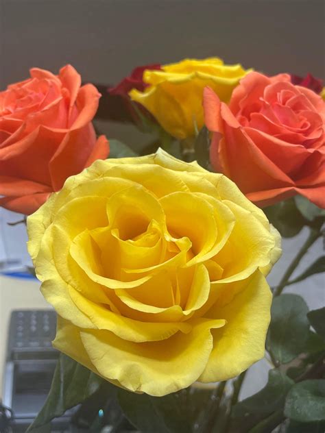 Who Else Loves Silpada Jewelry Free Your Style With The Free Spirit