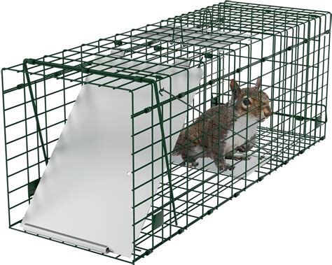 Raccoon Traps Home Depot