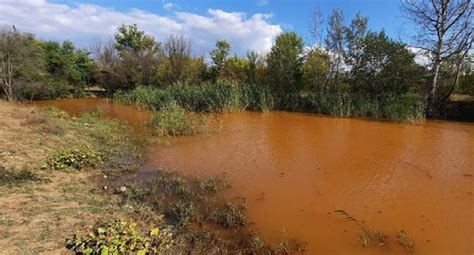 Вторгнення РФ завдало збитків українському довкіллю на суму понад 57 мільярдів доларів Zmina