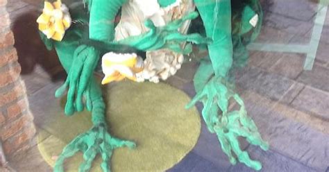Our Local Thrift Shop Has A Kind Of Weird Decoration Imgur