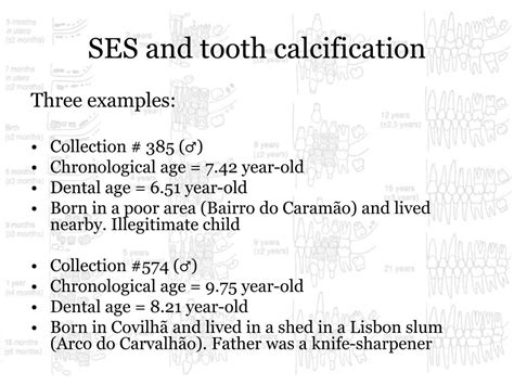 Ppt Socioeconomic Differences In Tooth Calcification And Age Estimation Of Immature Skeletal