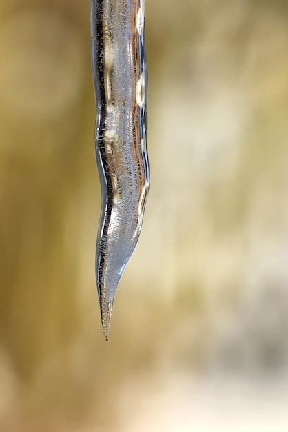 Premium Photo Close Up Of Snow