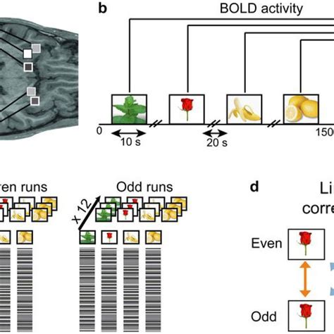 Schematic Diagram Of The Correlation Analysis A The Download Scientific Diagram