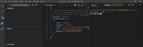 Cómo hacer debug paso a paso en Angular con Visual Studio Code Web