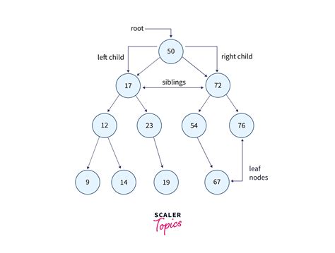 Data Structures In C Scaler Topics