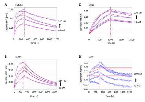Real Time Binding Sensorgrams Of The Immobilized Biotinylated Anti Cd19