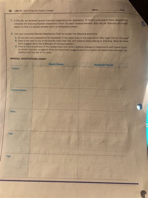 Solved 420 Lab 14 Identifying The Human Lineage Date 7 In