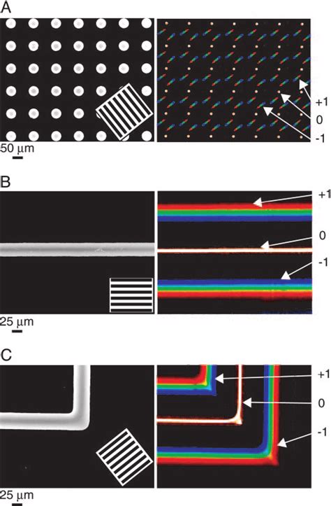 Diffraction Patterns Generated By Ps A Optical Micrograph Of An Download Scientific Diagram