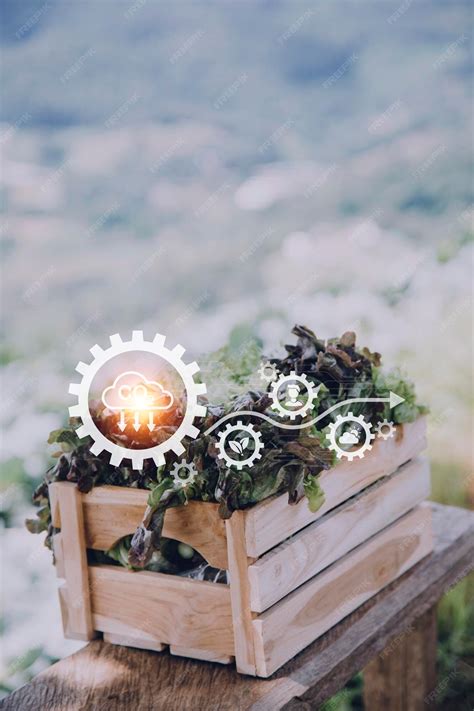 미래의 사업가는 휴대폰 온도 및 습도 센서를 사용하여 현대 Ai 기술을 사용하여 채소와 작물을 재배합니다 물 추적 기후 제어 홀로그램 데이터 데이터 아이콘 프리미엄 사진