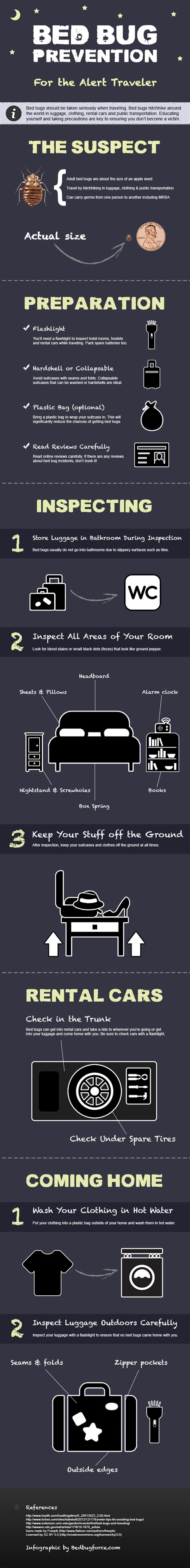 How To Prevent Check For Bed Bugs Infographic
