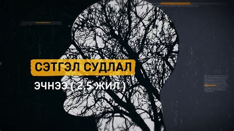 Сэтгэл судлалын Нийгэм сэтгэл судлалын дээд сургууль