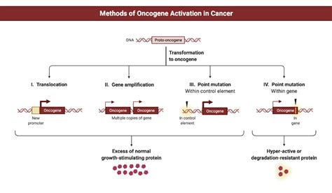 Methods Of Oncogene Activation In Cancer Biorender Science Templates
