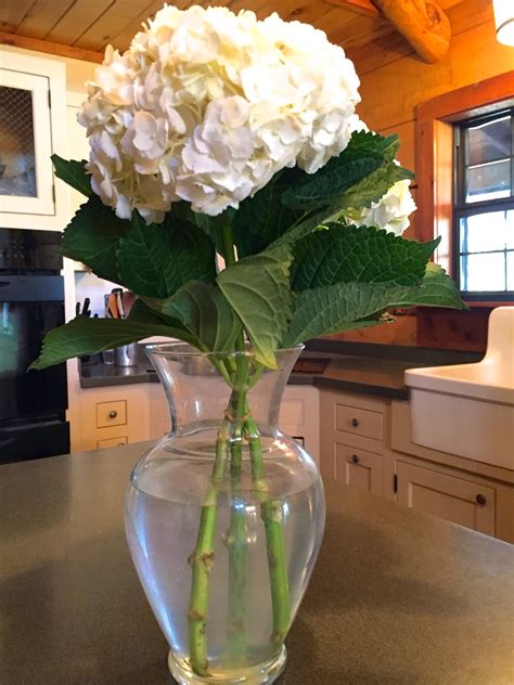 Thrifty Farmers Wife Flowers From Trader Joes