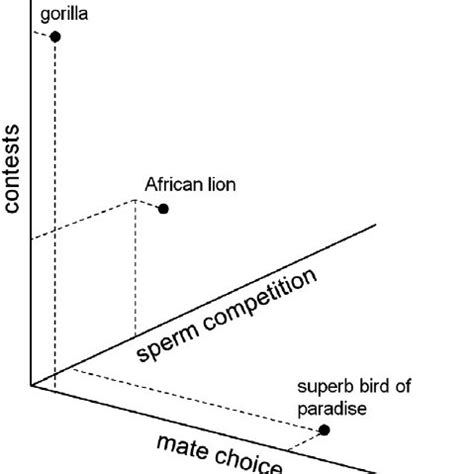 Different Mechanisms Of Sexual Selection Are Theoretically Distinct Download Scientific Diagram