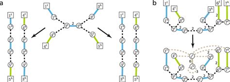 Eulerian Decompositions And Contigs Covering Inference For Interval Download Scientific Diagram