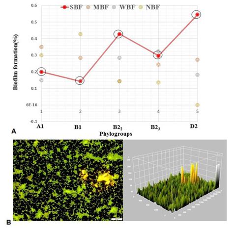 Microorganisms Special Issue Microbial Isolation And Characterization