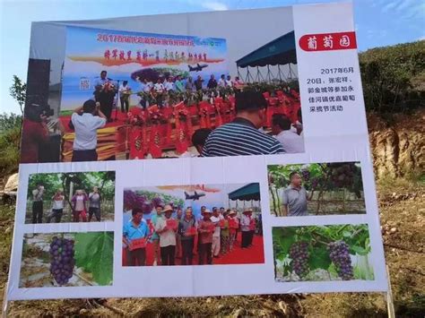 湖北優嘉農業攜手今糧易購助推鄉村振興戰略落地生根 每日頭條