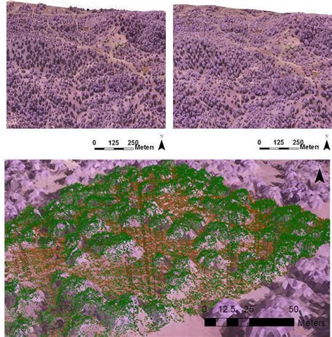 Remote Sensing Free Full Text A Novel Methodology To Estimate Single Tree Biophysical