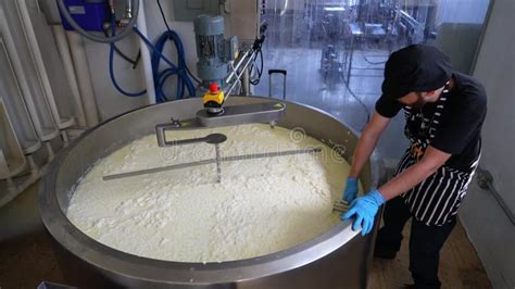 Worker Separating Whey From Curds With A Special Tool In A Separation