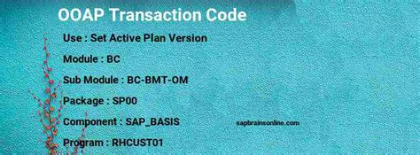 Ooap Sap Tcode For Set Active Plan Version
