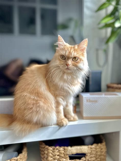 She Woke Me Up While I Was Taking A Nap Best Photos I Took This Week