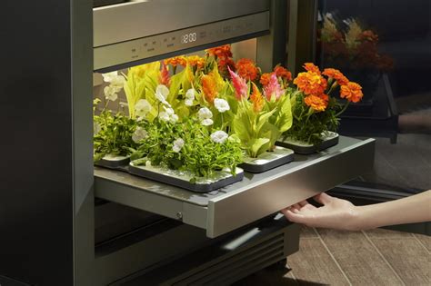 Lgs Indoor Garden Appliance Grows Vegetables And Herbs All Year Round Maxim
