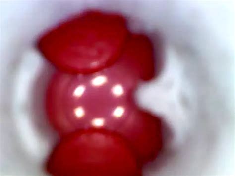 Light Ring Detection V2 Object Detection Dataset By Test