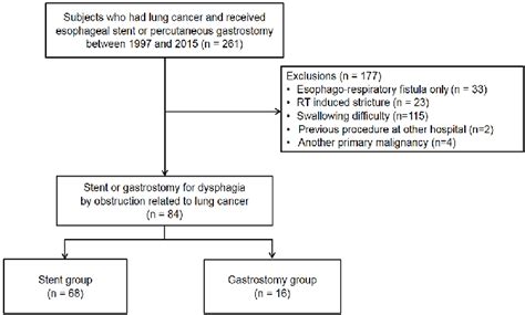 Flow Chart Of Patient Selection Rt Radiotherapy Download