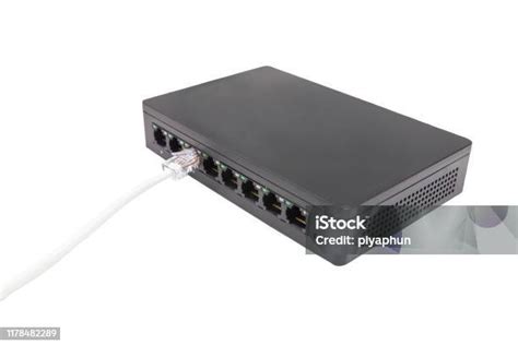 데이터 센터 룸의 Lan 포트를 연결하는 네트워크 케이블 개념 통신 연결 기술 격리된 흰색 클리핑 경로 0명에 대한 스톡 사진 및 기타 이미지 Istock