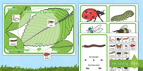 Fun Minibeasts Sorting Activity Twinkl Teach Twinkl