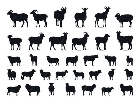Premium Vector Sheep And Goat Silhouettes Set Illustration Vector