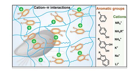 Principles Of Cation−π Interactions For Engineering Mussel Inspired Functional Materials