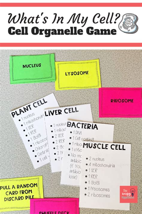 Cell Transport Lesson Plan The Learning Hypothesis
