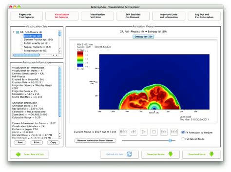 a screenshot of the visualization set explorer s animation viewer