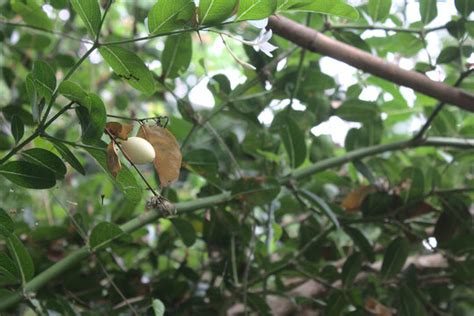 รูปภาพkoromcha เลือกดูภาพถ่ายสต็อก เวกเตอร์ และวิดีโอ362 Adobe Stock