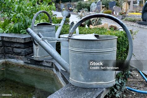 세 사람은 벽 연못 위의 식물에 물을 주기 위해 주전자를 만들었습니다 0명에 대한 스톡 사진 및 기타 이미지 0명 강철